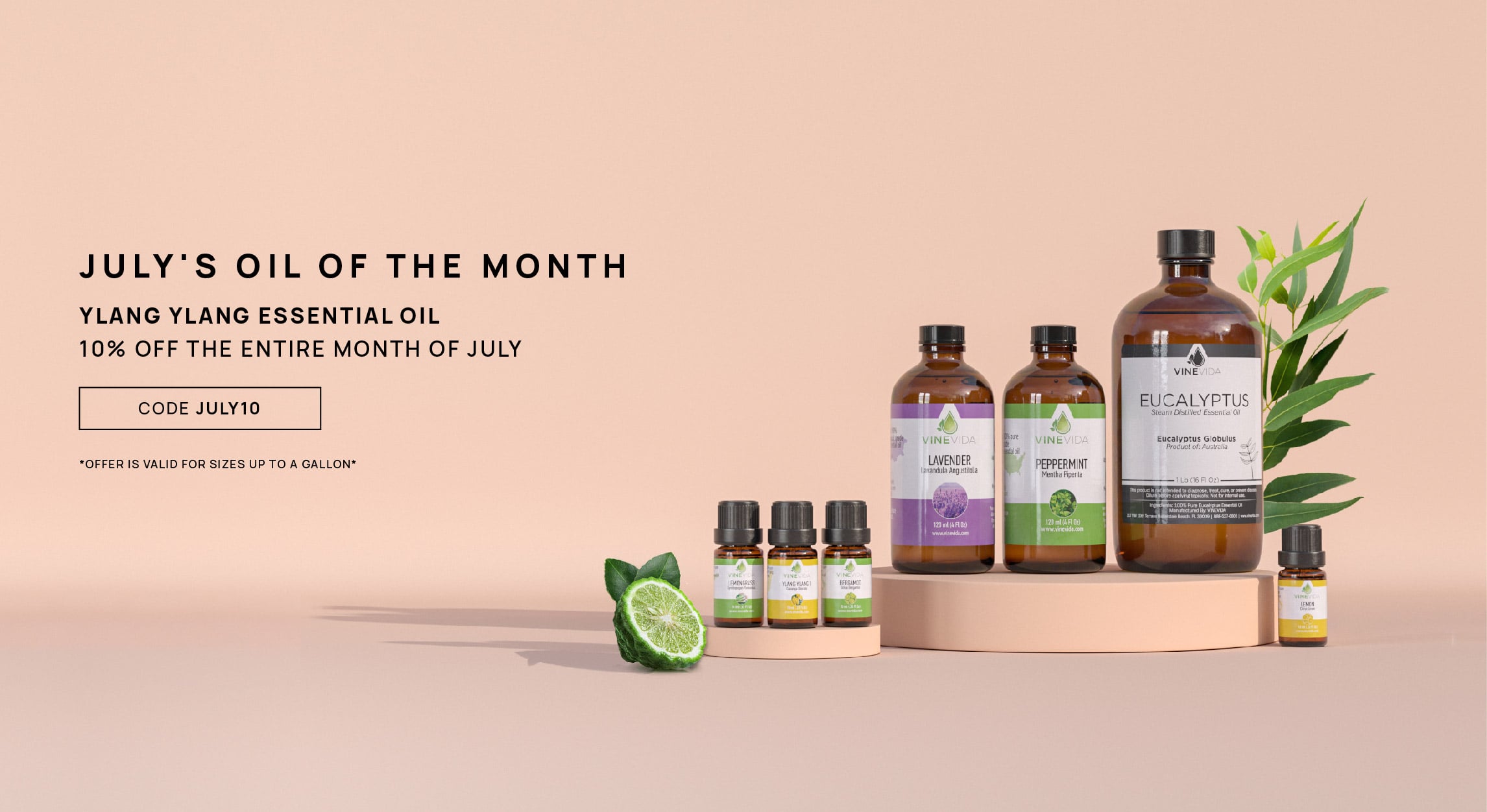 VINEVIDA | 100% Pure & Natural Ingredients