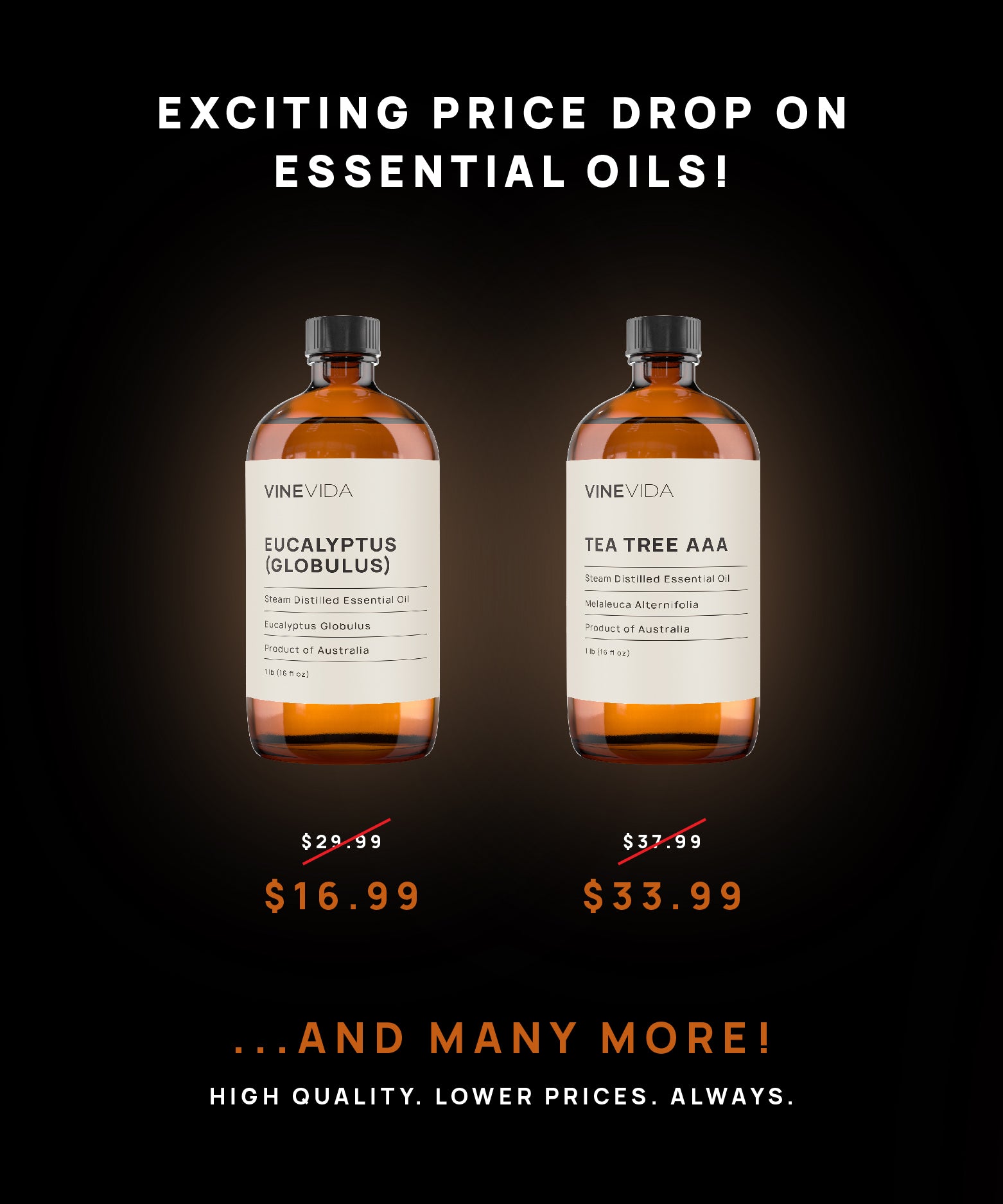 VINEVIDA | 100% Pure & Natural Ingredients