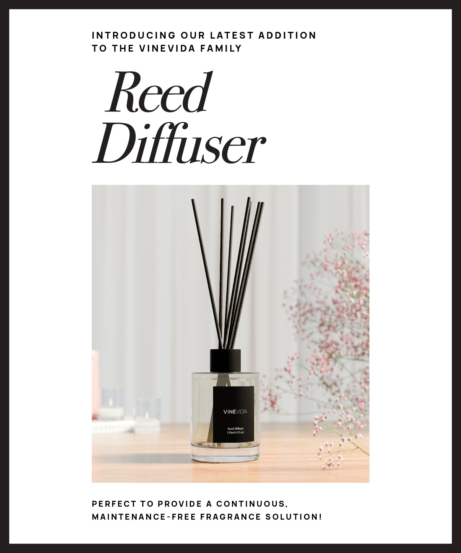 VINEVIDA | 100% Pure & Natural Ingredients