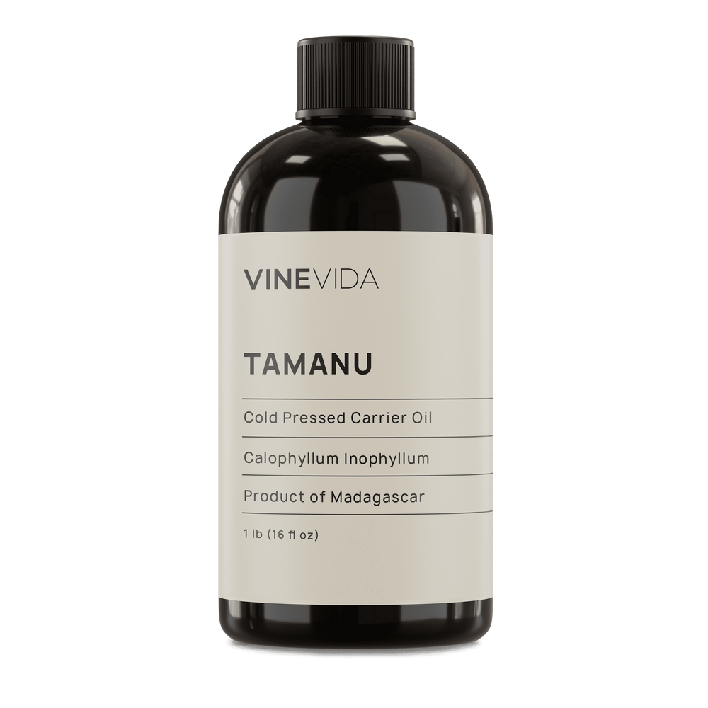 Tamanu Oil | Uses, Benefits, and Blends | VINEVIDA