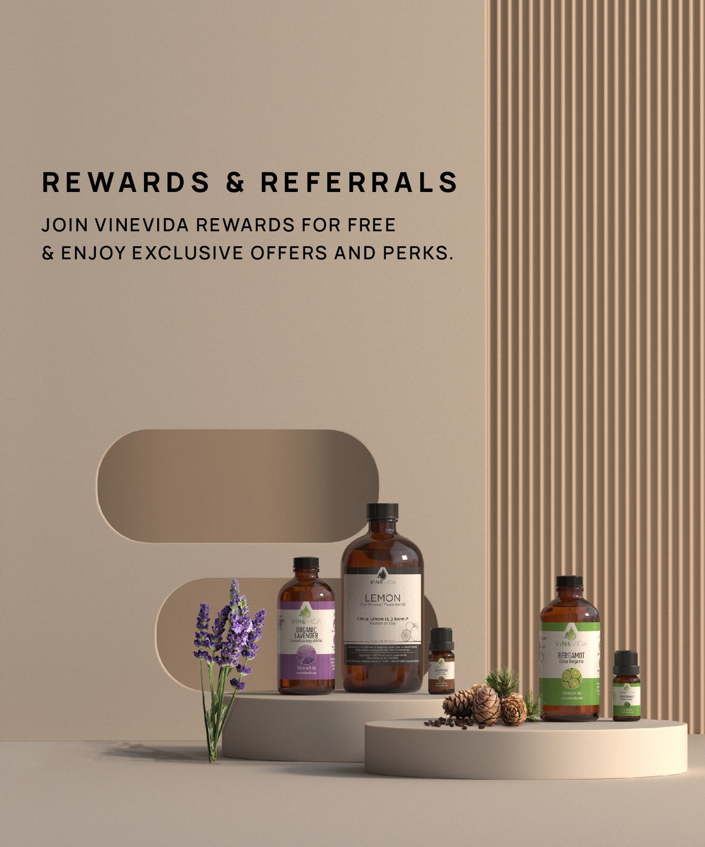 VINEVIDA | 100% Pure & Natural Ingredients