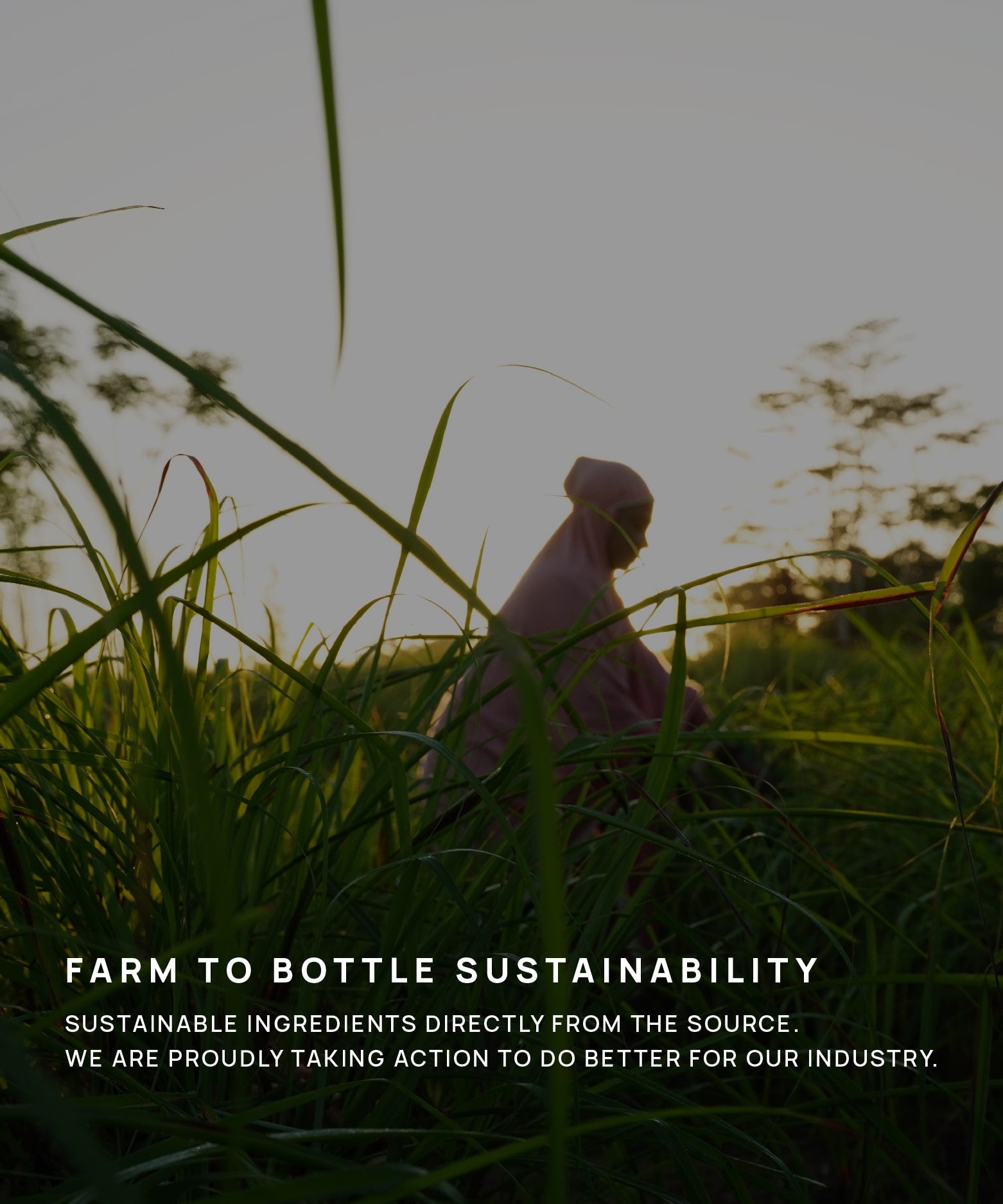 VINEVIDA | 100% Pure & Natural Ingredients